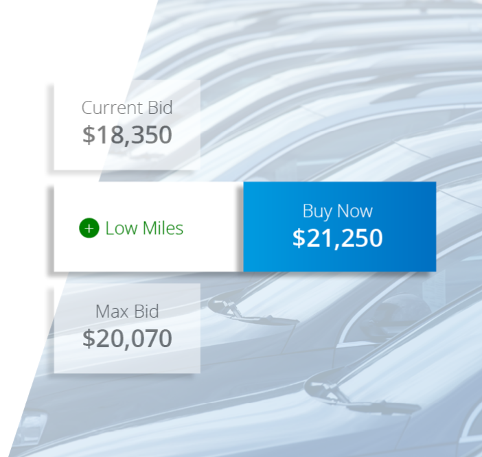 Wholesale Vehicle Sourcing Software | vAuto